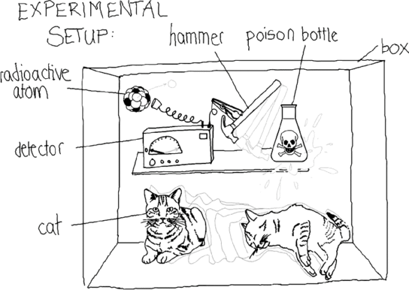 Schrödinger’s Cat: The Most Famous Thought Experiment in Quantum ...