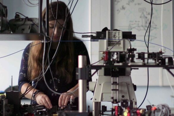 Schrödinger’s Cat: The Most Famous Thought Experiment in Quantum ...